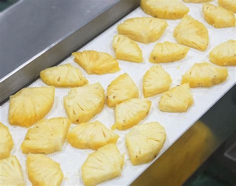 Pineapple Processing Line For Dried Fruit Production Peeling Cutting And Drying Solution From
