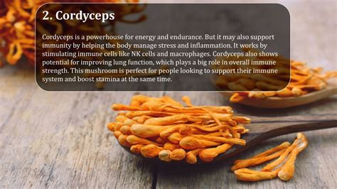 Ppt Top 5 Medicinal Mushrooms To Support The Immune System Powerpoint