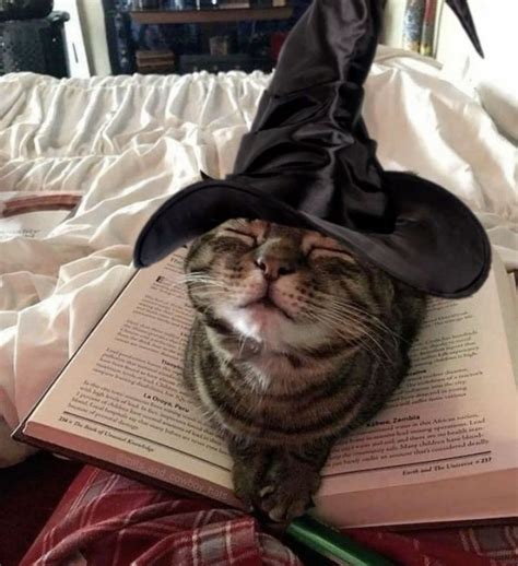 300 Wallpaper Ideas Wallpaper Art Wallpaper Cute Wallpapers