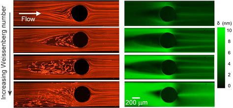 Fy2015 Annual Report Oist Groups