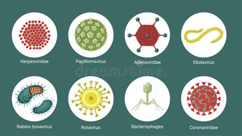 Virus Structure Under Microscope Set Red Molecules Herpes Virus Green Polygons Of