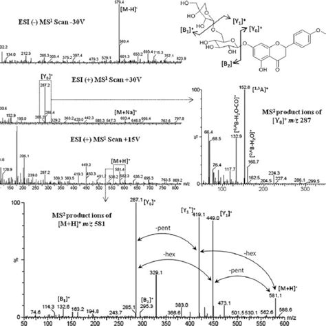 Main Fragmentation Observed For Protonated Flavonoid O Diglycosides And Download Scientific
