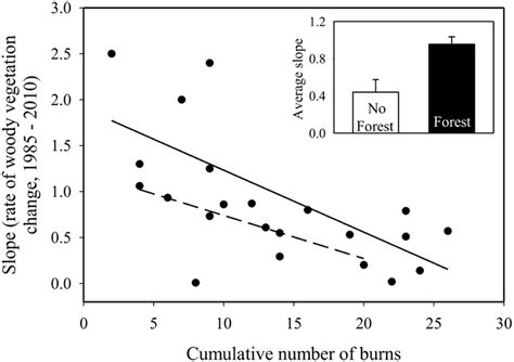 The Association Between The Linear Regression Slopes Calculated For Download Scientific Diagram