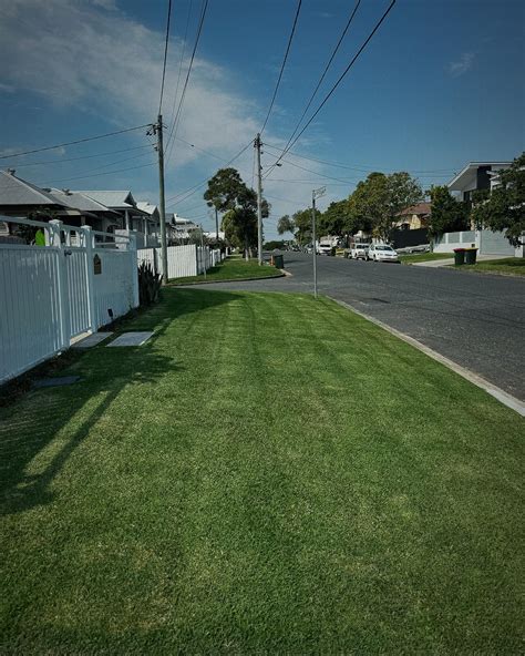 Grass Gone Wild Beaudesert Qld