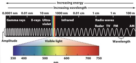 PSYC 275 Midterm 2 Flashcards Quizlet PSYC 275 Midterm 2 Flashcards Quizlet