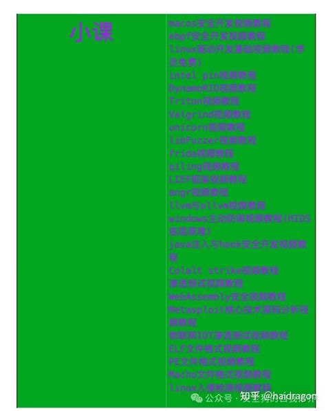 恶意软件分析：综合指南 知乎