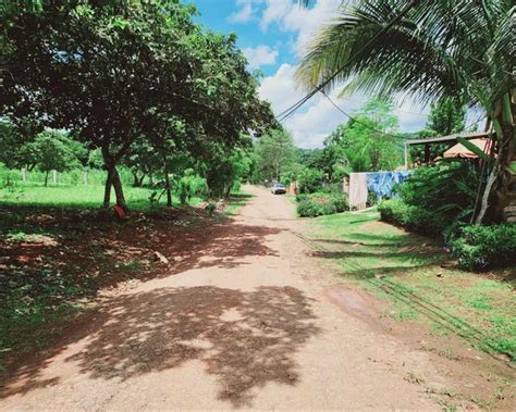 Cómo Elegir Un Buen Lote Senderos Del Coco