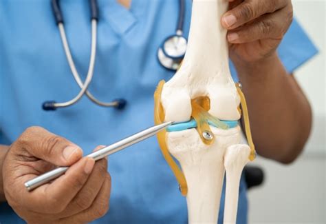 Common Injuries In The Afl Season How To Prevent Them And How To Treat