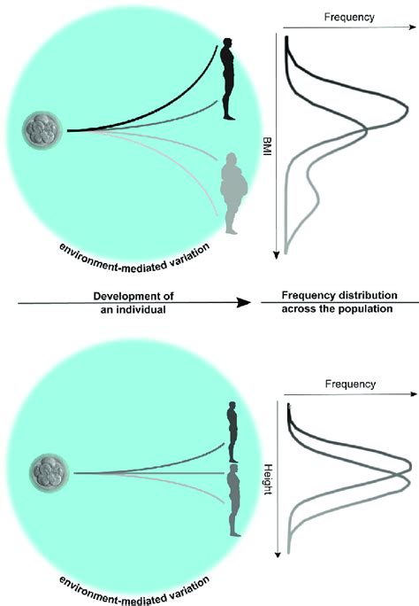 Distributions Of Phenotypic Variation Non Mendelian Phenotypic