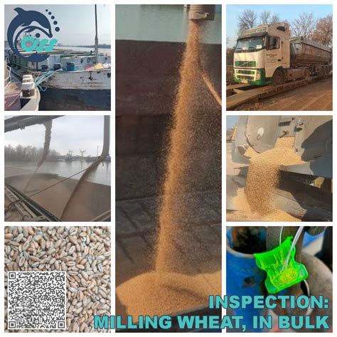 Inspection Survey Import Export Insurance Test Lab Certificate