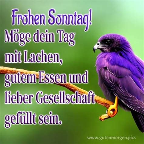 Top 500 Guten Morgen Sonntag Neu Bilder And Grüße