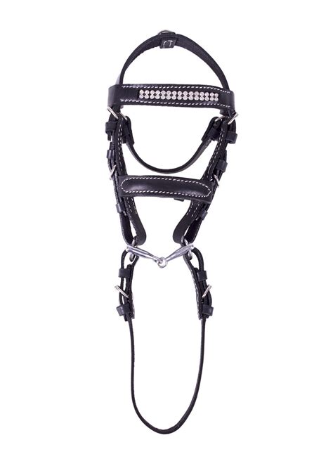 Mini Hoofdstel Madelon Ruitersportwinkel De Vlashoeve Koewacht