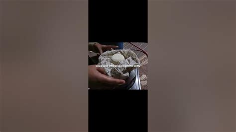 Bapa Pitha Dubai Shots Youtube