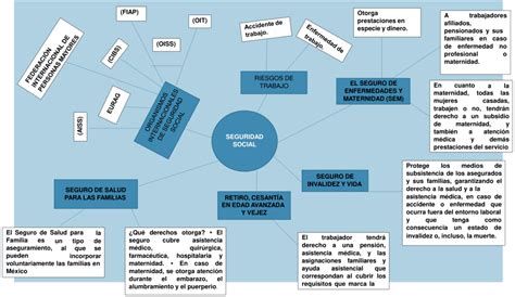 Ejemplos De Mapas Semánticos 【plantillas Gratis】