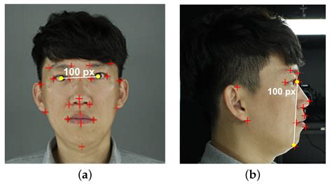 Facial Identity Verification Robust To Pose Variations And Low Image