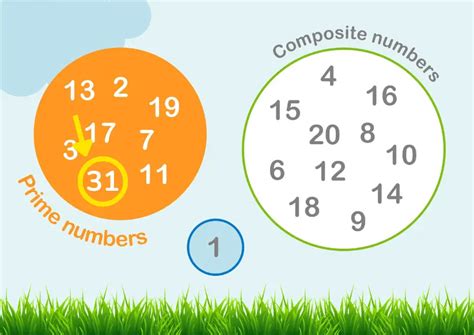 Is 31 A Prime Number Or Is 31 A Composite Number