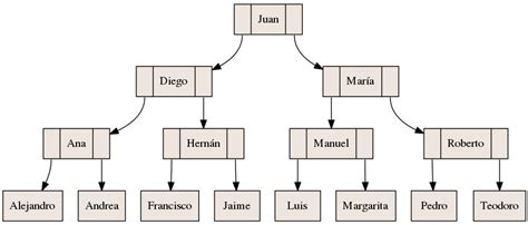 Erick Navarros Blog Graficar árboles Avl Con Graphviz Y Java