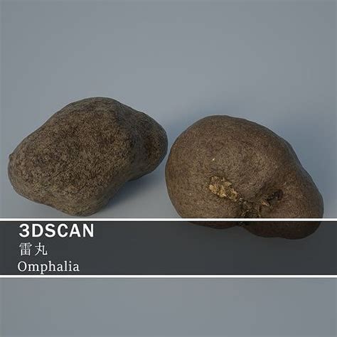 3d Model 3dscan Traditional Chinese Medicine Omphalia Vr Ar Low
