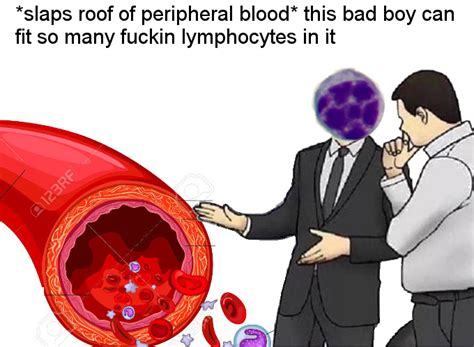Meme Pathophysiology Of Cll Rmedlabprofessionals