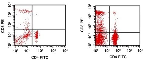 Show Dot Blot Analysis Of Flow Cytometry Data Of Cd4cd8 Of Two Cases
