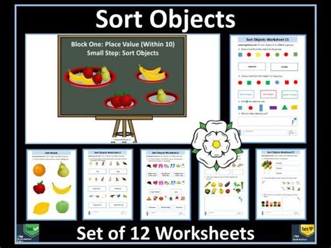 Sort Objects Year 1 White Rose Maths Teaching Resources