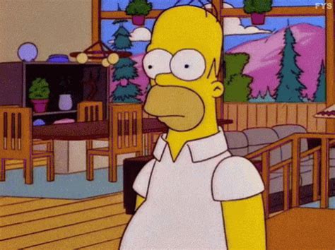 Homer Simpson S