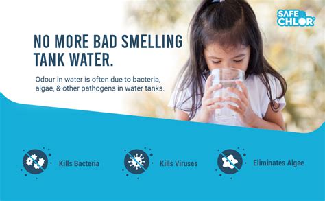 Safe Chlor 1000 L Chlorine Tablets For Water Tanks Of 1000 Ltrs