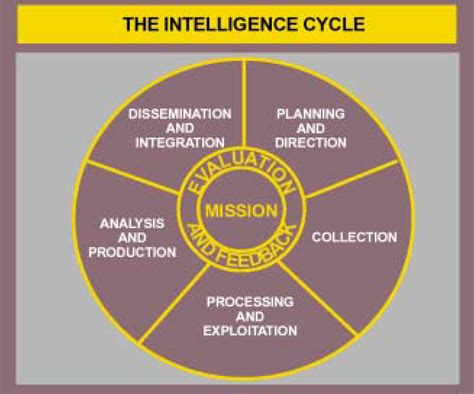 The Intelligence Cycle Jp 2 0 2000ii 1 Download Scientific Diagram