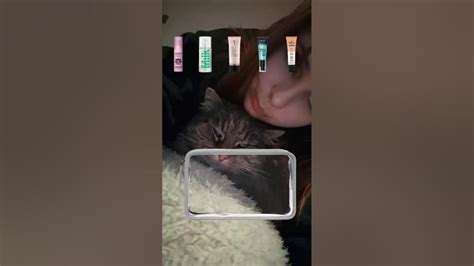 With My Cat💗 Itzphoebe Trending Cat Makeup Filter Youtube