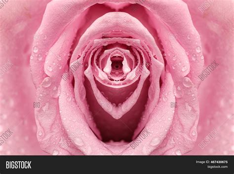 Erotic Metaphor Design Image Photo Free Trial Bigstock