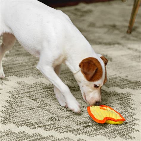 Outward Hound Durablez Minis Stuffing Free Squeaky Plush