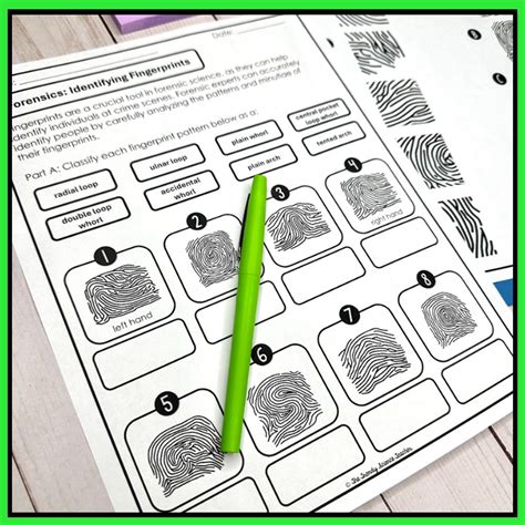 Fingerprint Analysis Worksheet