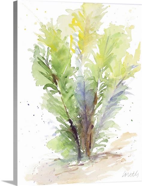 Seagrasses And Eelgrasses V Great Big Canvas