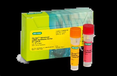High Capacity Cdna Reverse Transcription Kit Bio Rad