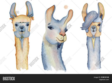 Llama Cartoon