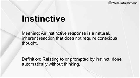 Instinctive Meaning Youtube