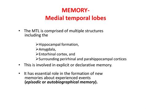Temporal Lobe Ppt Pptx