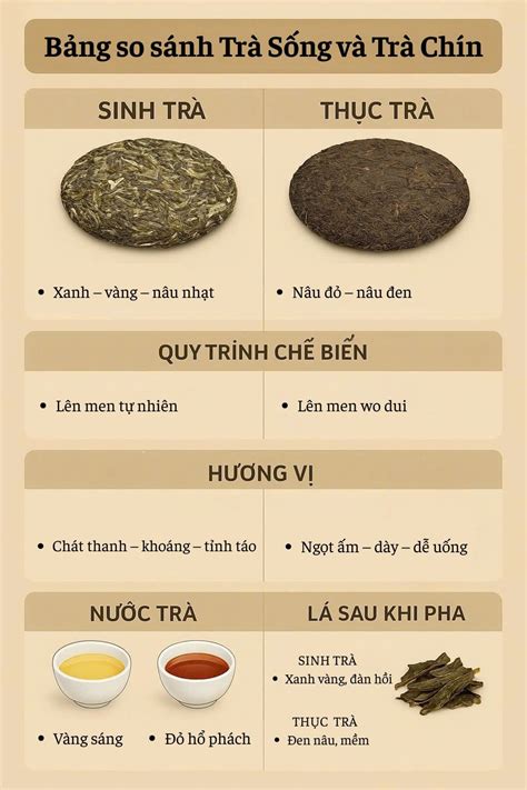 Trà Phổ Nhĩ Là Gì Phân Biệt Trà Sống Chín