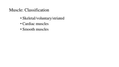 Solution Muscle Classification Studypool