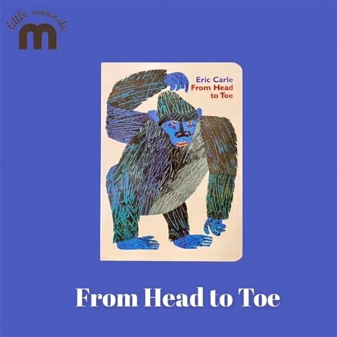Eric Carle From Head To Toe Shopee Thailand