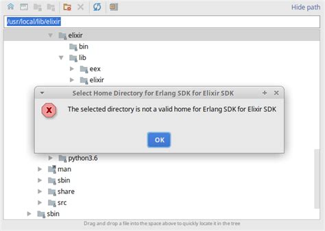 Cant Select Sdk On Windows 10 · Issue 1080 · Kronicdethintellij Elixir · Github