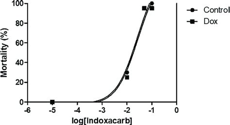 Doxycycline Does Not Affect Topical Insecticide Toxicity Male Download Scientific Diagram