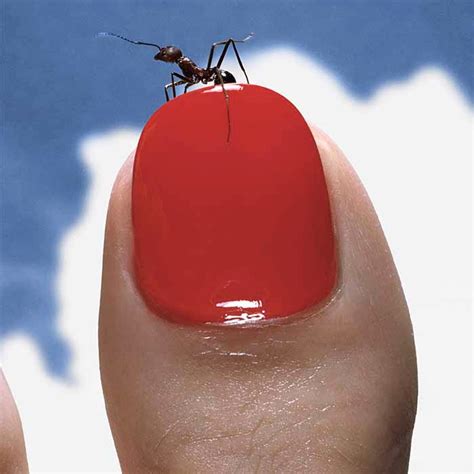 Essel The Vessel Curated Drum Kit Free By Essel The Vessel Free