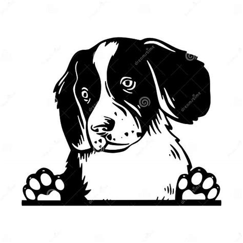 Peeking English Springer Spaniel Dog Breed Puppy Breed Vector File