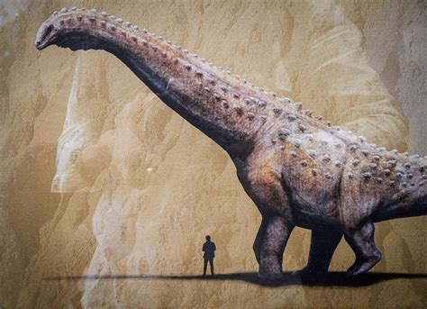 New Mexico Natural History Museum Asks You To Remember The Alamosaurus