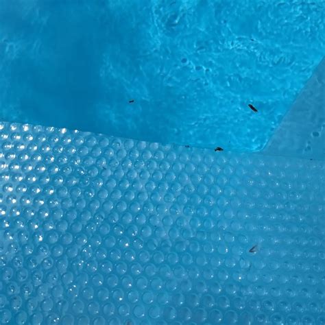 Abgal Oasis Clarity Solar Pool Cover Swimart Nz