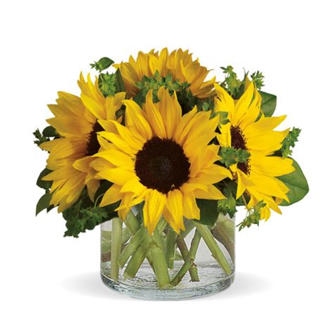 Sunny Valley 1 Florist In Los Angeles Dotties Flowers