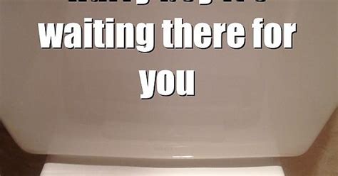 Toilet Humor Imgur