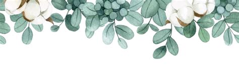 Watercolor Seamless Border With Eucalyptus Leaves And Cotton Flowers