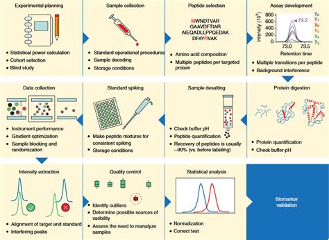 Mass Spec Proteomics Service Mtoz Biolabs